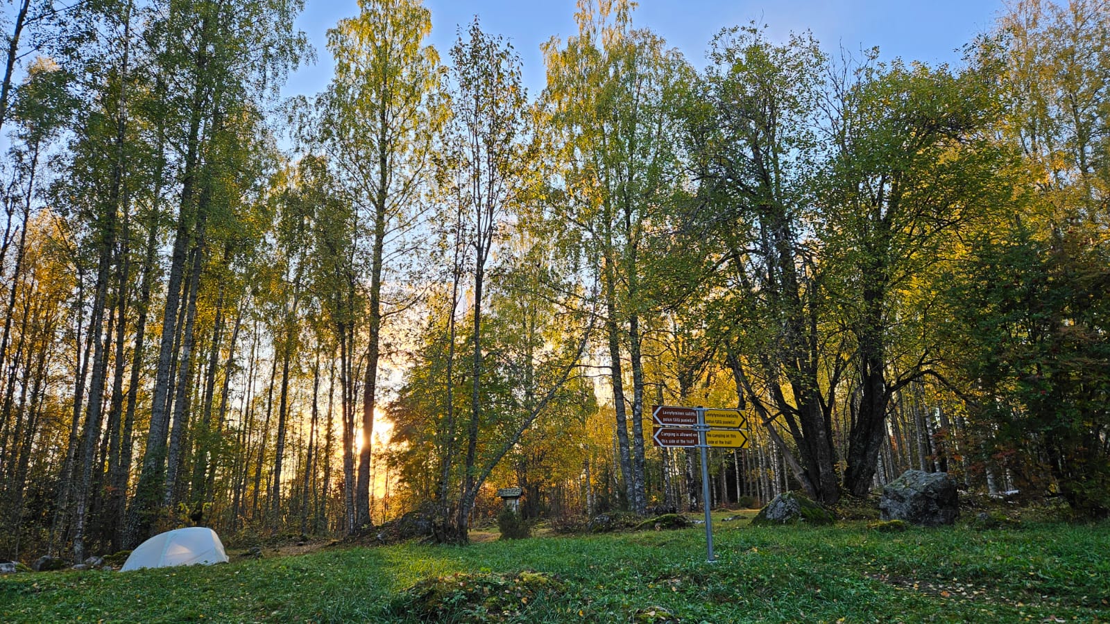 Ruskavaellus 2026, Kolin kansallispuisto - Ulkoilma Akatemia